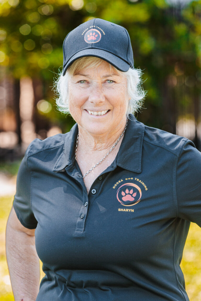 About Noosa Dog Training on the Sunshine Coast